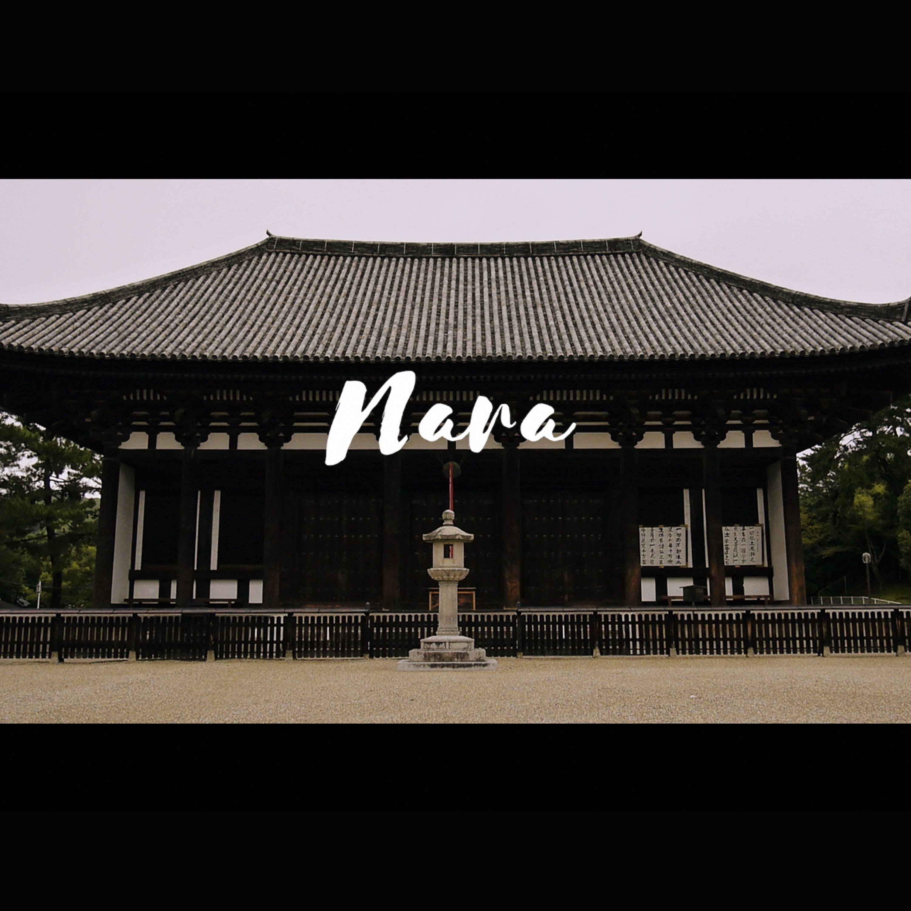 TB Music Vlog – Nara Japan - Todd Boston